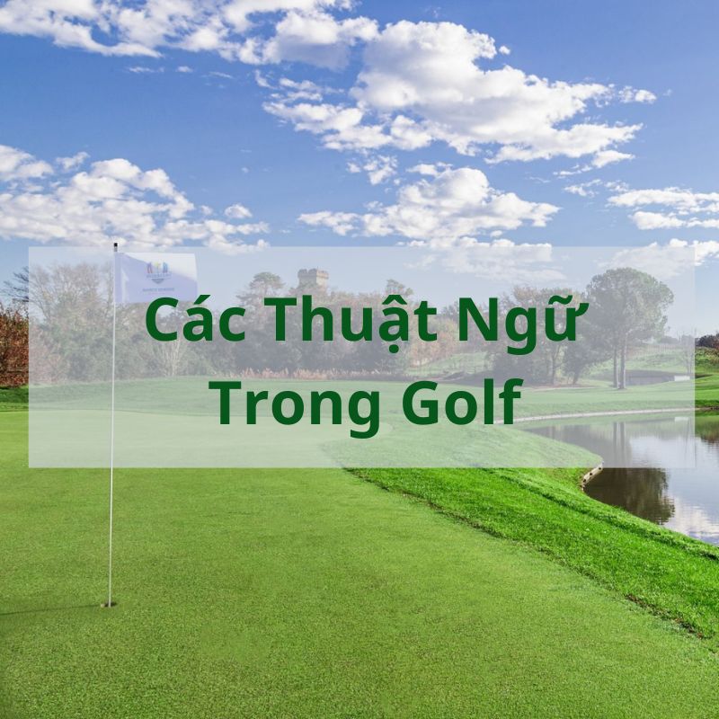 [A-Z] Các thuật ngữ trong Golf được sử dụng nhiều nhất 2026